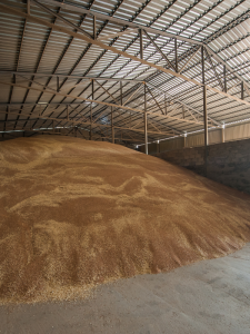 About us – Nutrimex