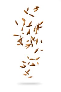 Products – Nutrimex